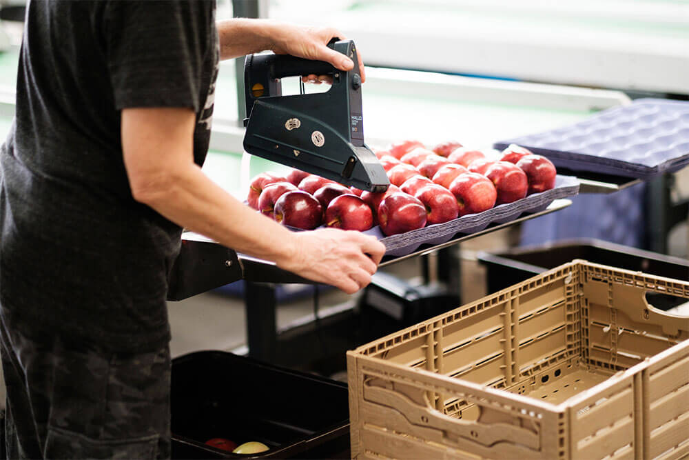 About Us & The Farm Community | Fresh Forward