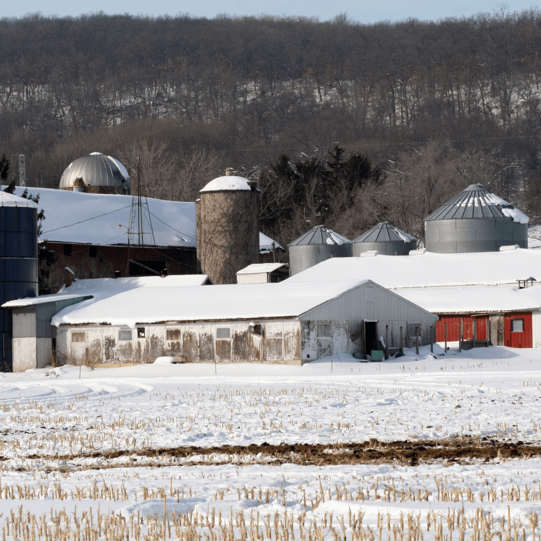What happens at an orchard during the winter? Here’s what our Fresh ...